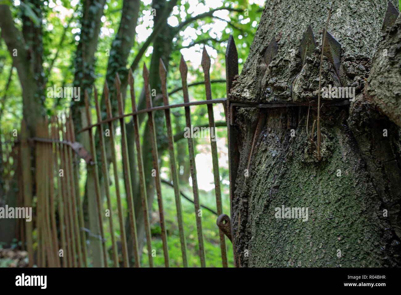 Oak railings hi-res stock photography and images - Alamy