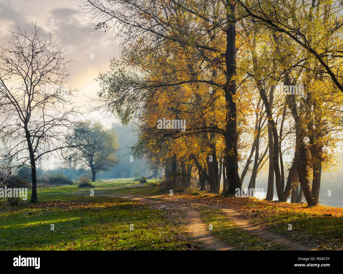 autumn scenery near the river. path along the embankment. tall trees in ...