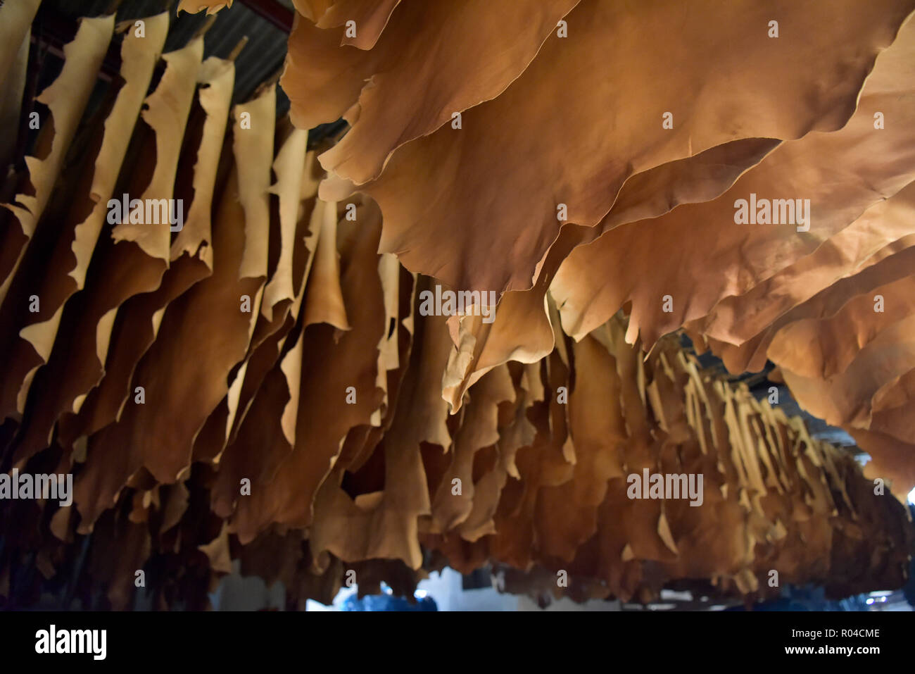 Leather factory river hi-res stock photography and images - Alamy