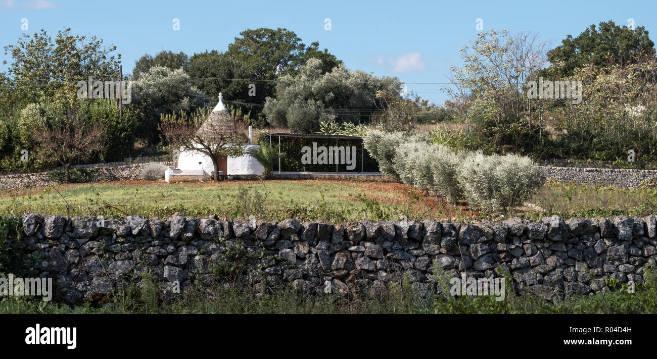 Traditional conical roofed Trullo house on a farm in the area of ...
