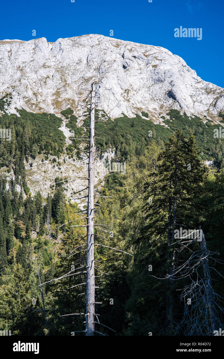 view from Jenner mountain, National park Berchtesgaden, Germany, Europe ...