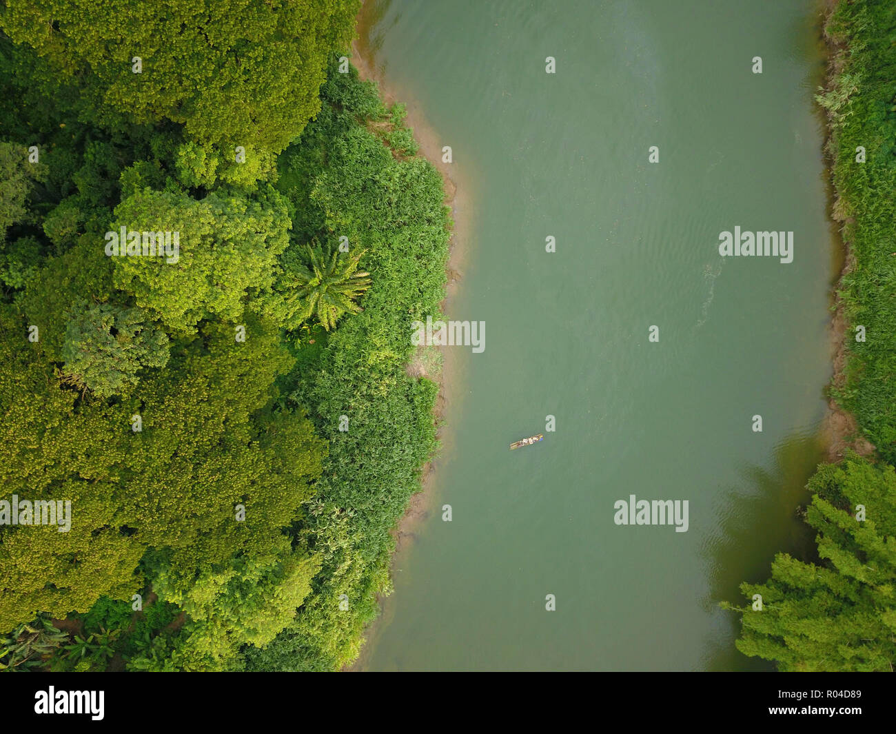 Green vegetation at river bank in Sabah Malaysia Borneo Stock Photo - Alamy