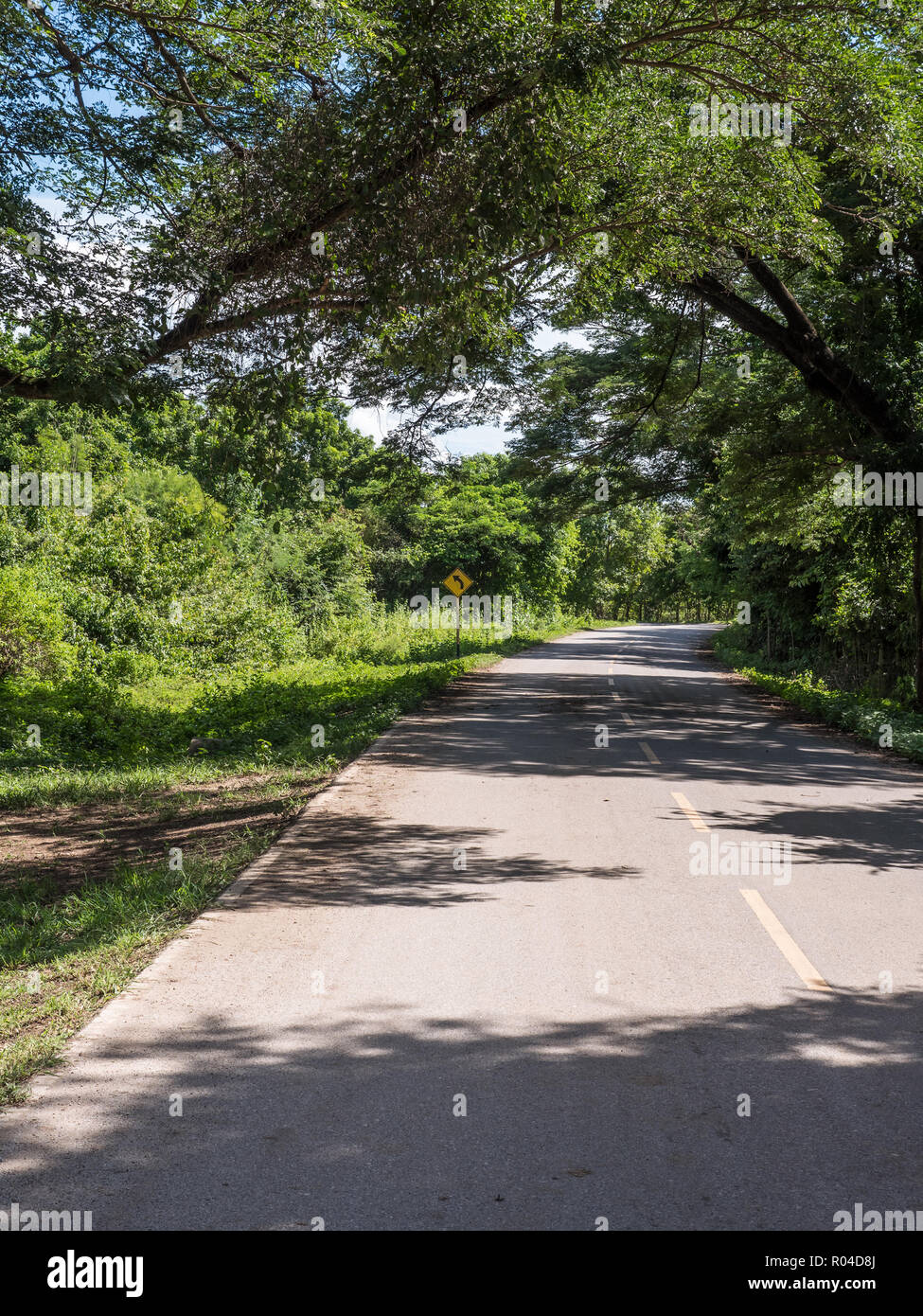 Single lane asphalt road along the forest park with the traffic sign in ...