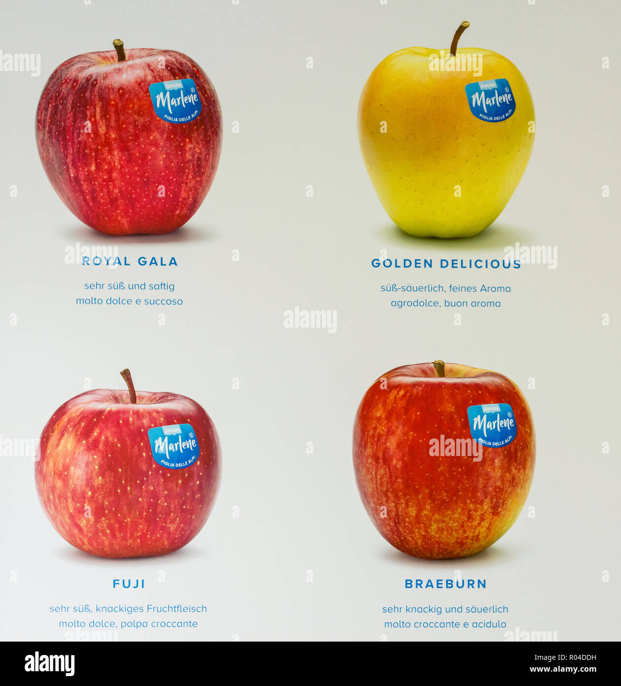 apples variety "Melinda" isolated on white background with the ...