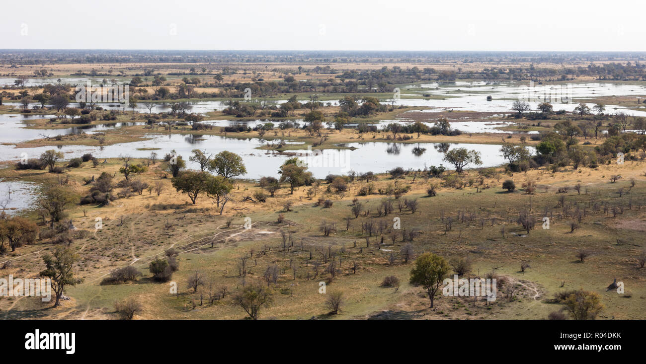 Okavango Delta aerial view, Botswana's stunning landscape Stock Photo ...