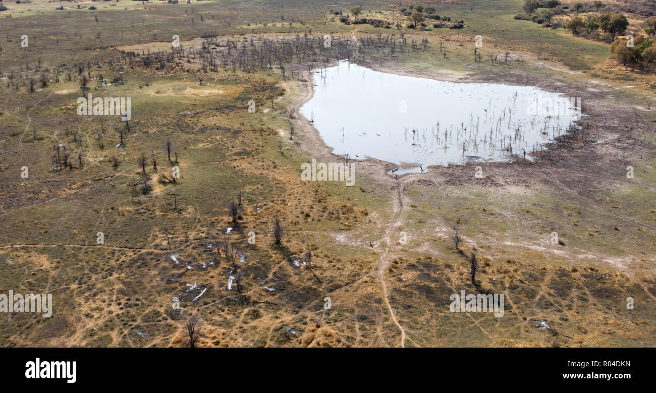 Okavango Delta aerial view, Botswana's stunning landscape Stock Photo ...