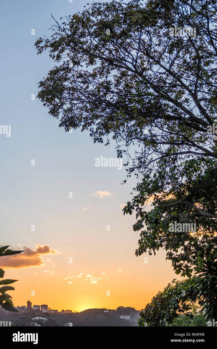 sunset and tree Stock Photo - Alamy