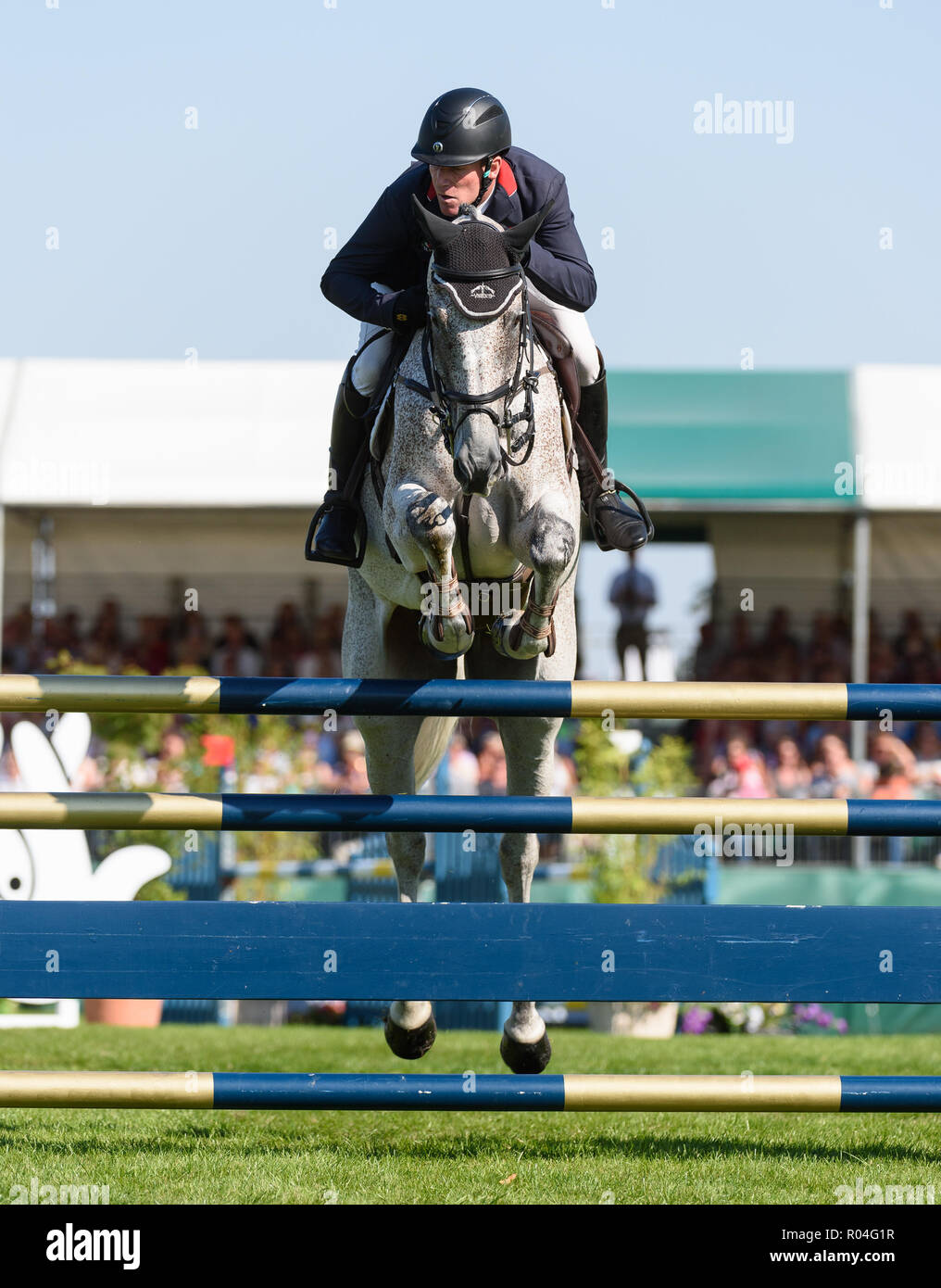 Oliver Townend and BALLAGHMOR CLASS during the showjumping phase of the ...