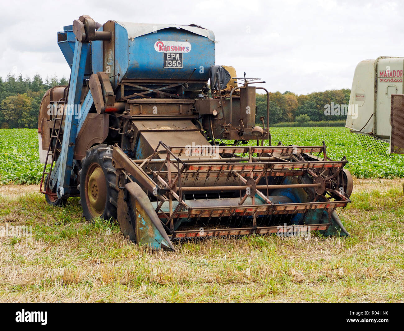 A rusty old Ransome's 801 combine harvester from the 1950s on show at a ...