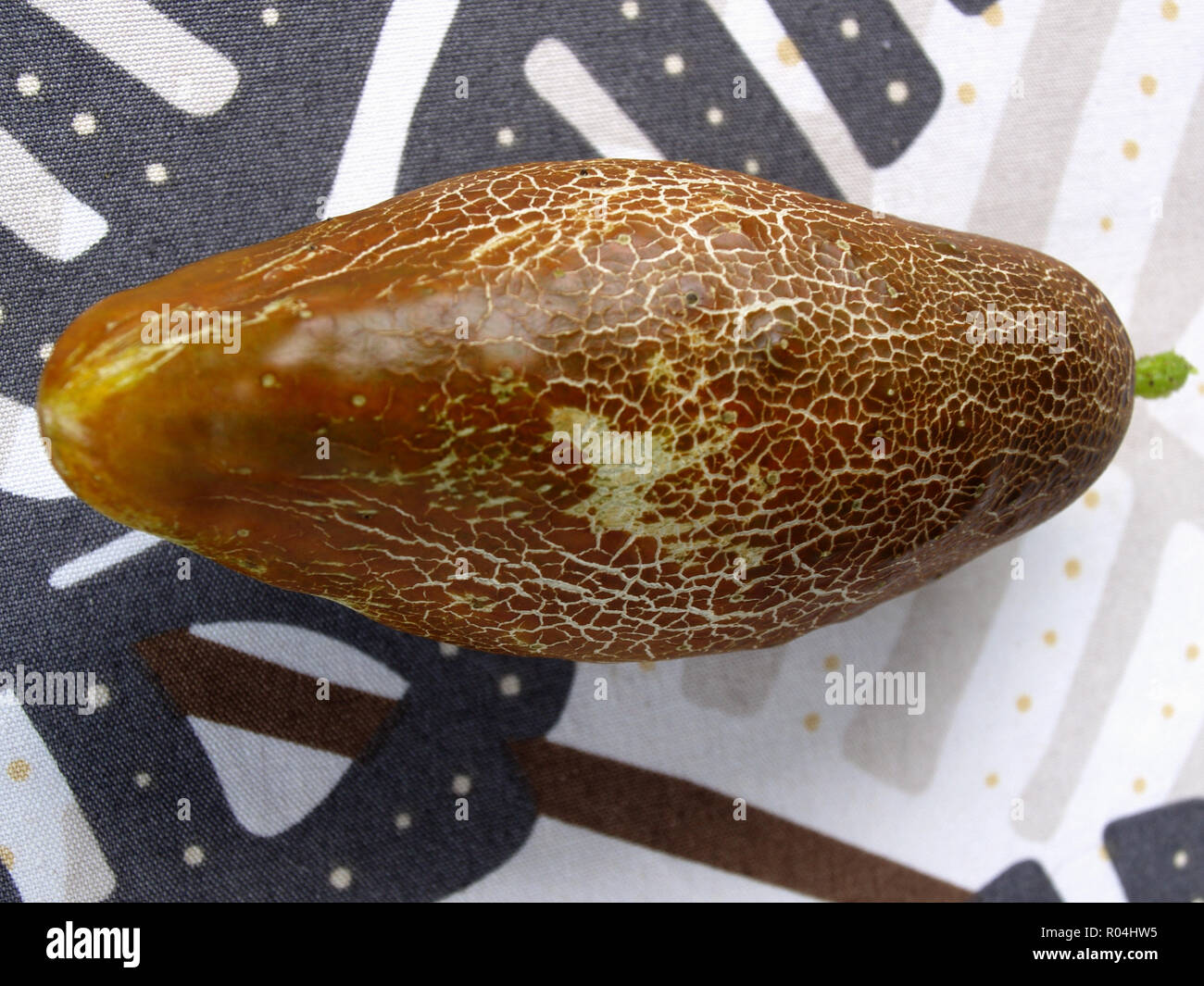 Hmong red cucumber Stock Photo - Alamy