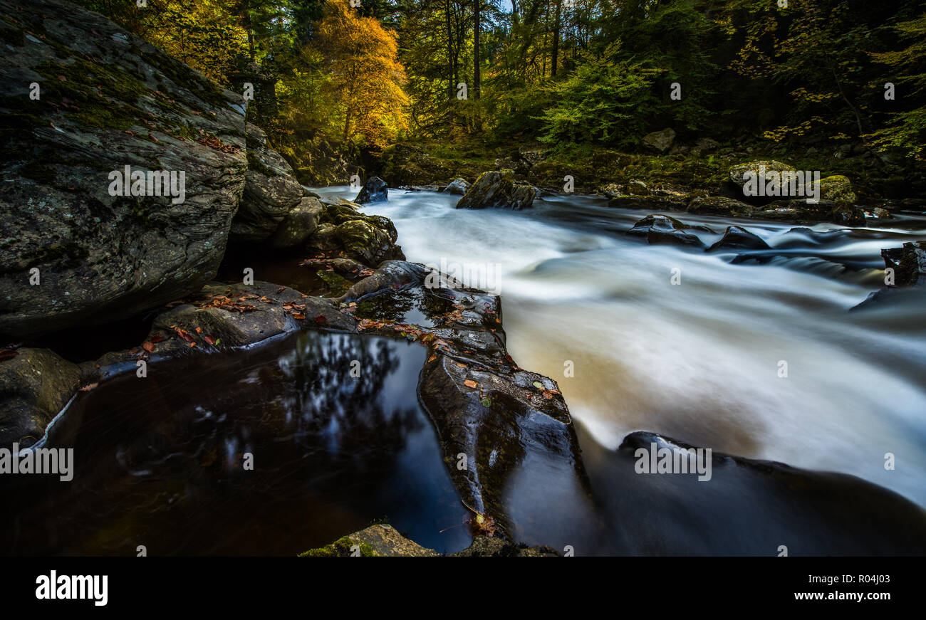The autumn colours at the Hermitage on the River Braan near Dunkeld in ...