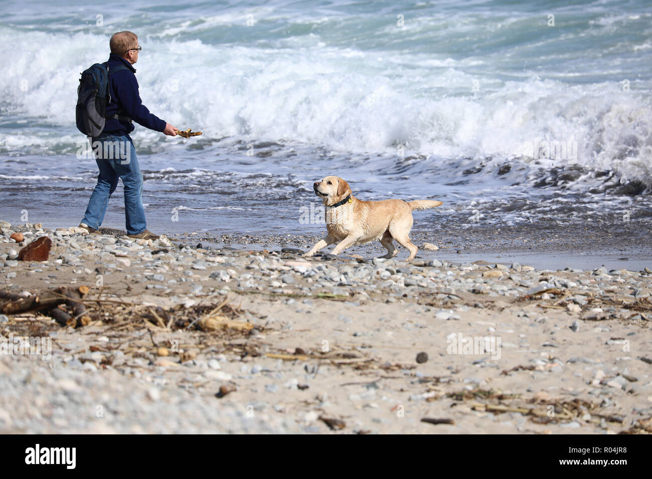 Man Throwing Stick To Dog High Resolution Stock Photography and Images ...