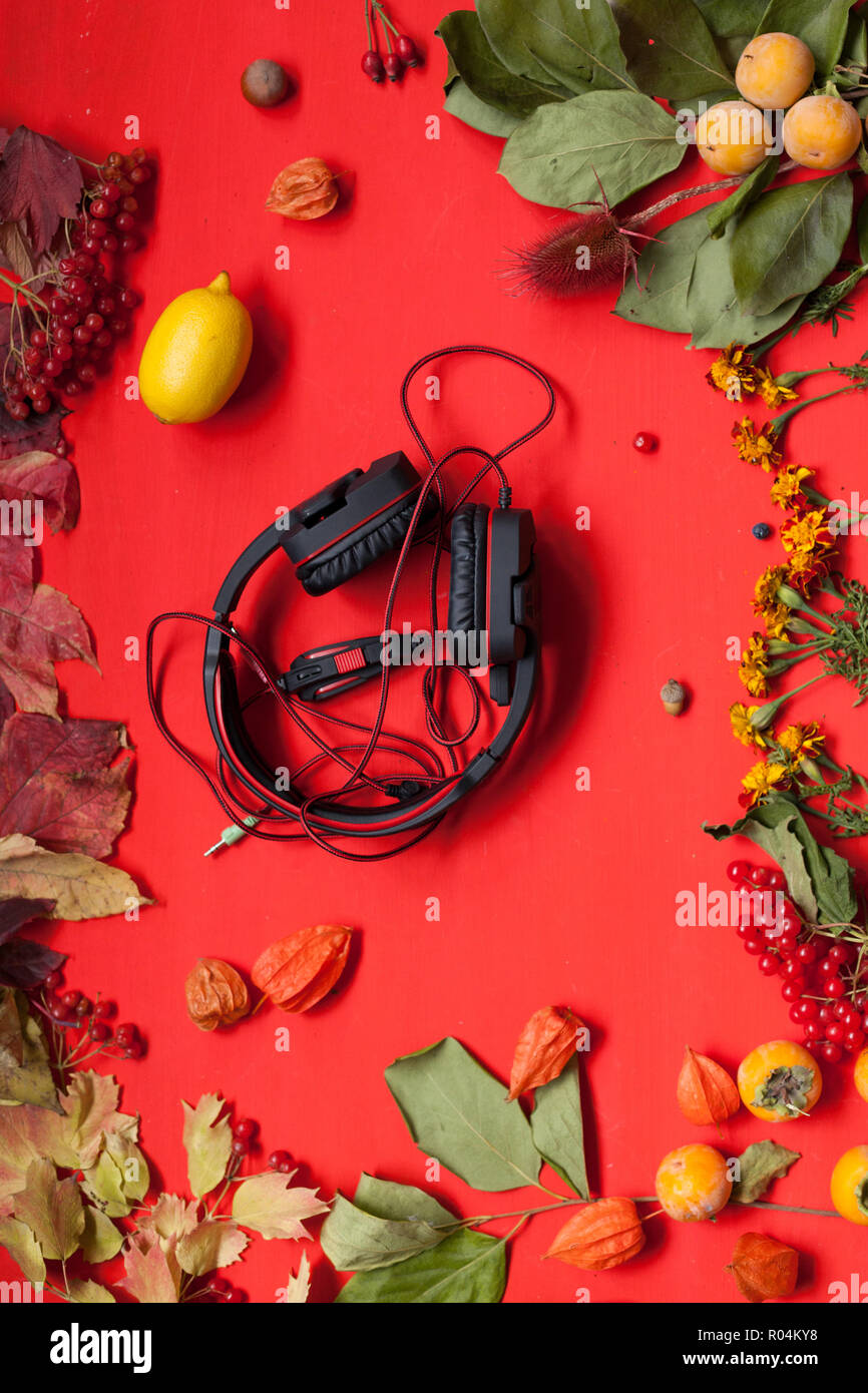 Vintage frame berries fruits hi-res stock photography and images - Alamy