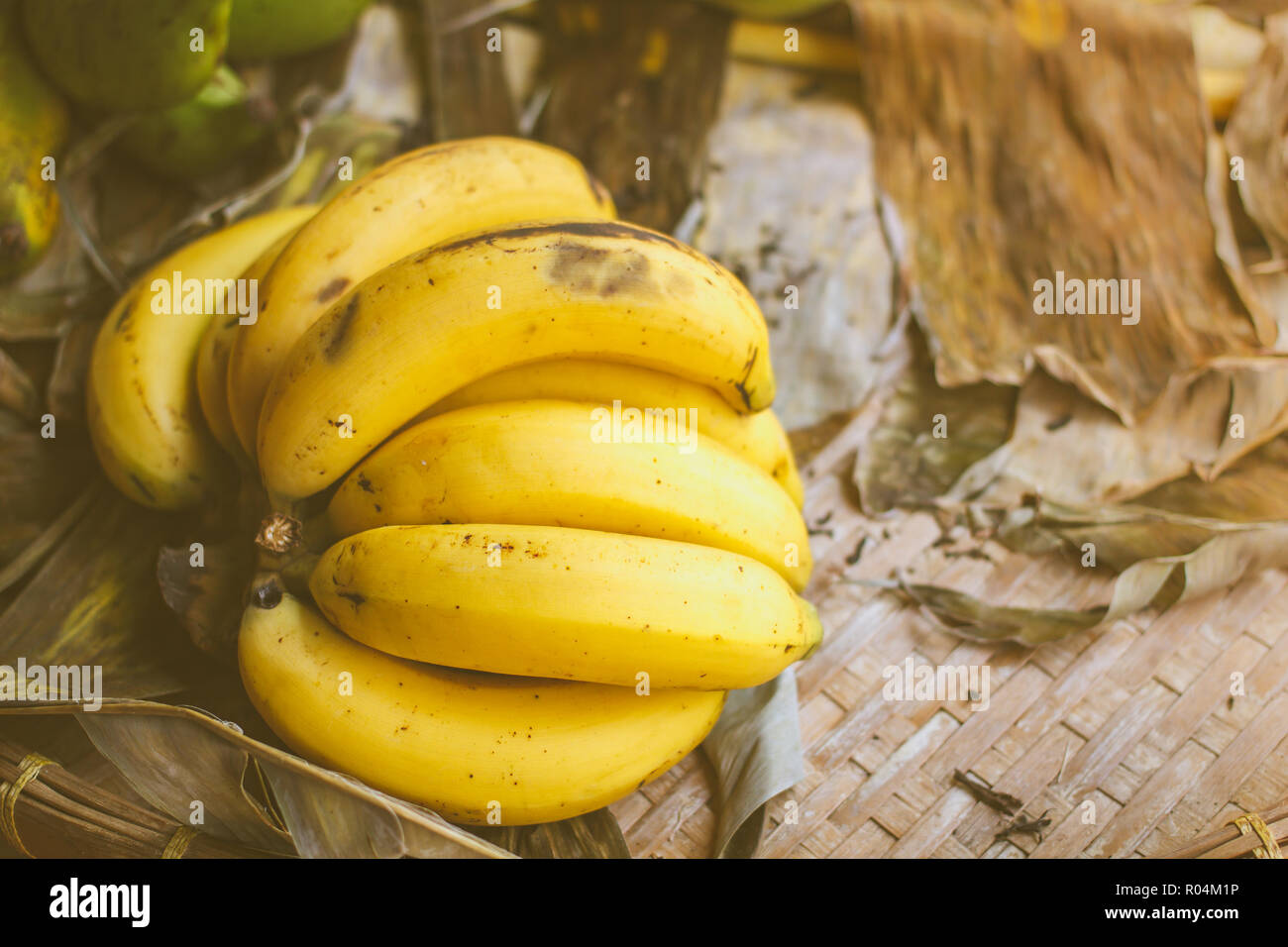 Cavendish group banana hi-res stock photography and images - Alamy