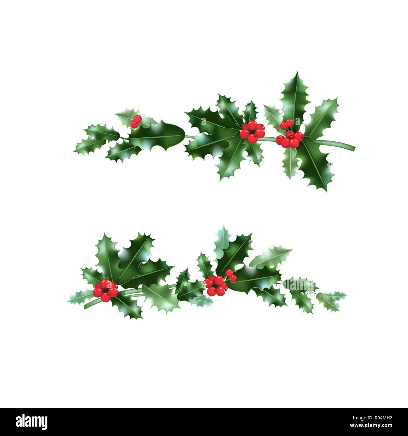 Holly nature branches set Stock Vector Image & Art - Alamy