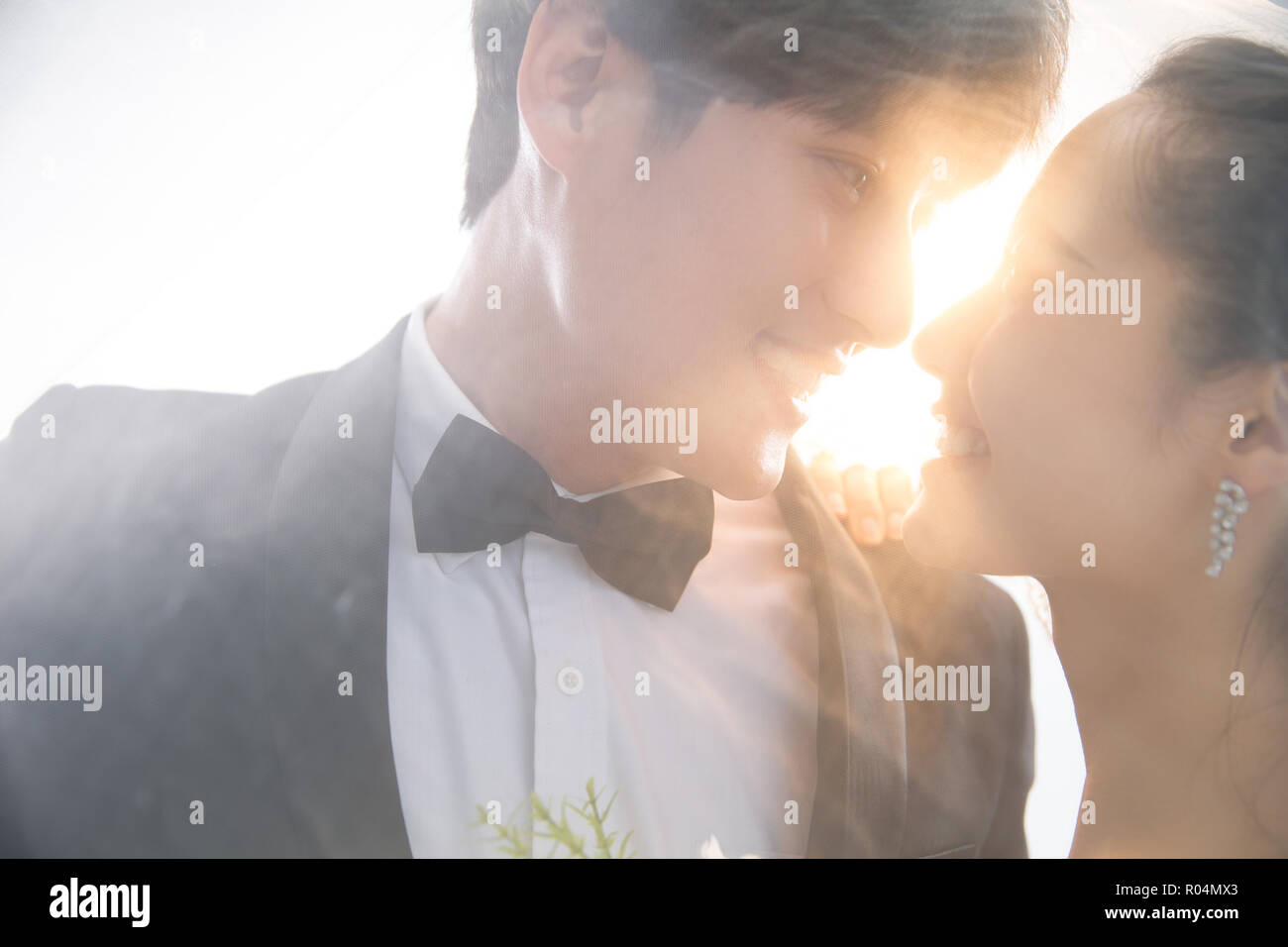 Romance of the bride and groom Stock Photo - Alamy