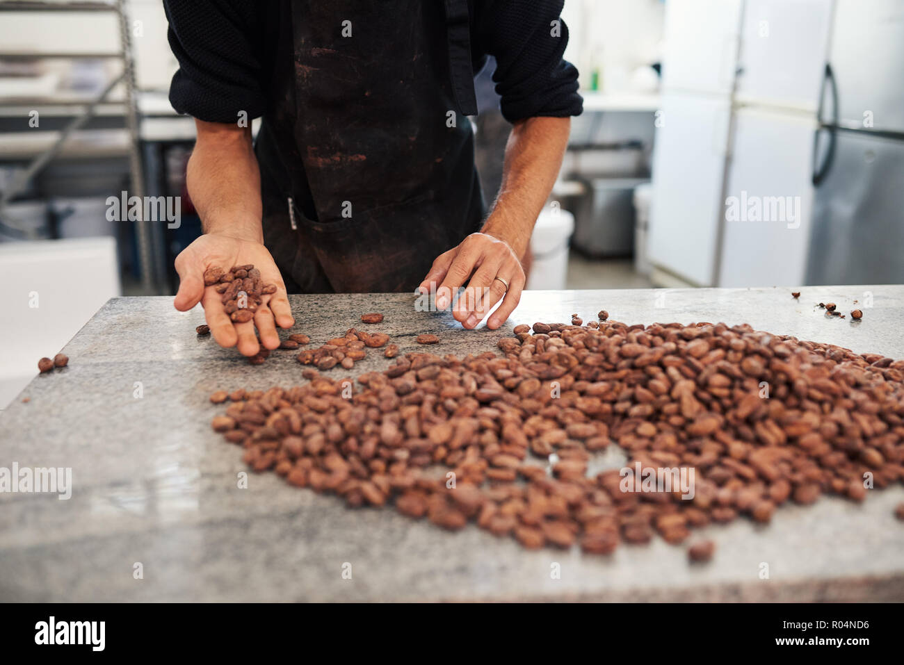 Worker sorting cocoa beans in an artisanal chocolate factory Stock ...