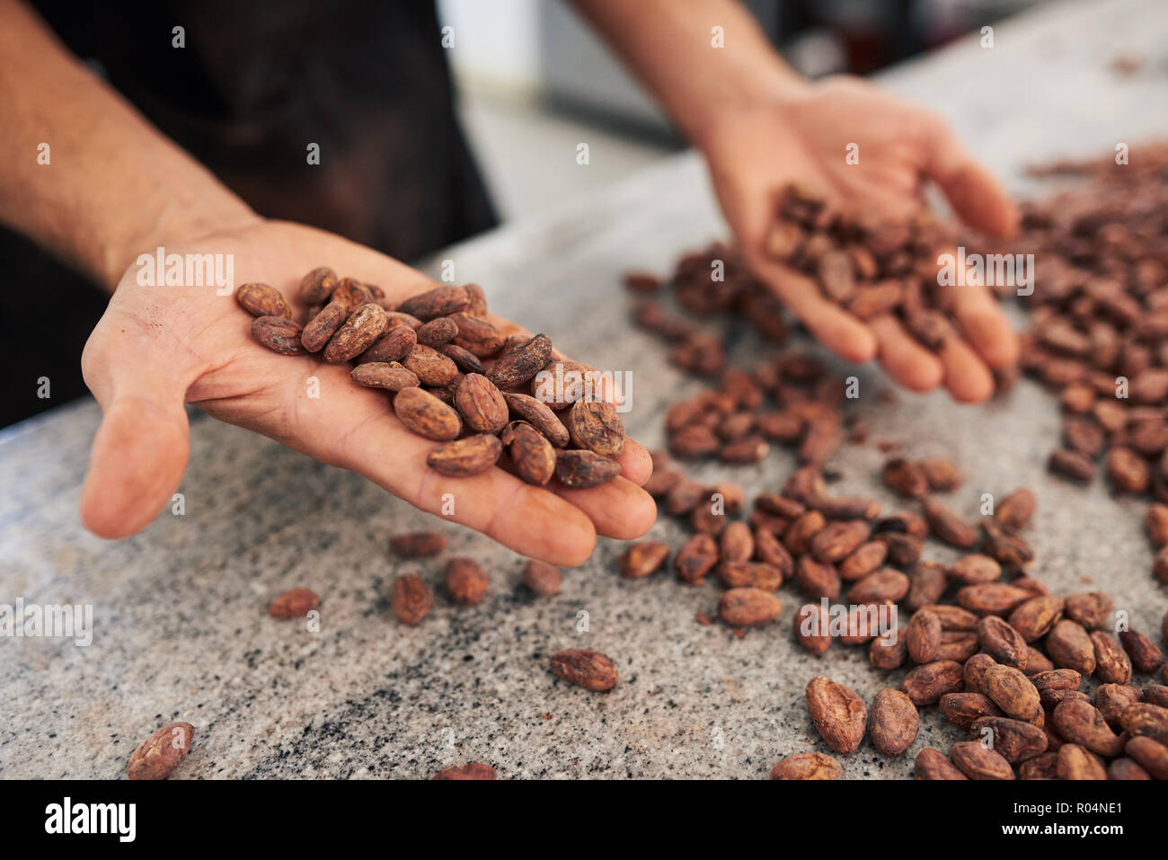 Worker sorting cocoa beans in an artisanal chocolate making factory ...