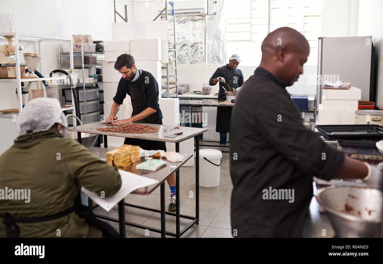 People working together in an artisanal chocolate making factory Stock ...
