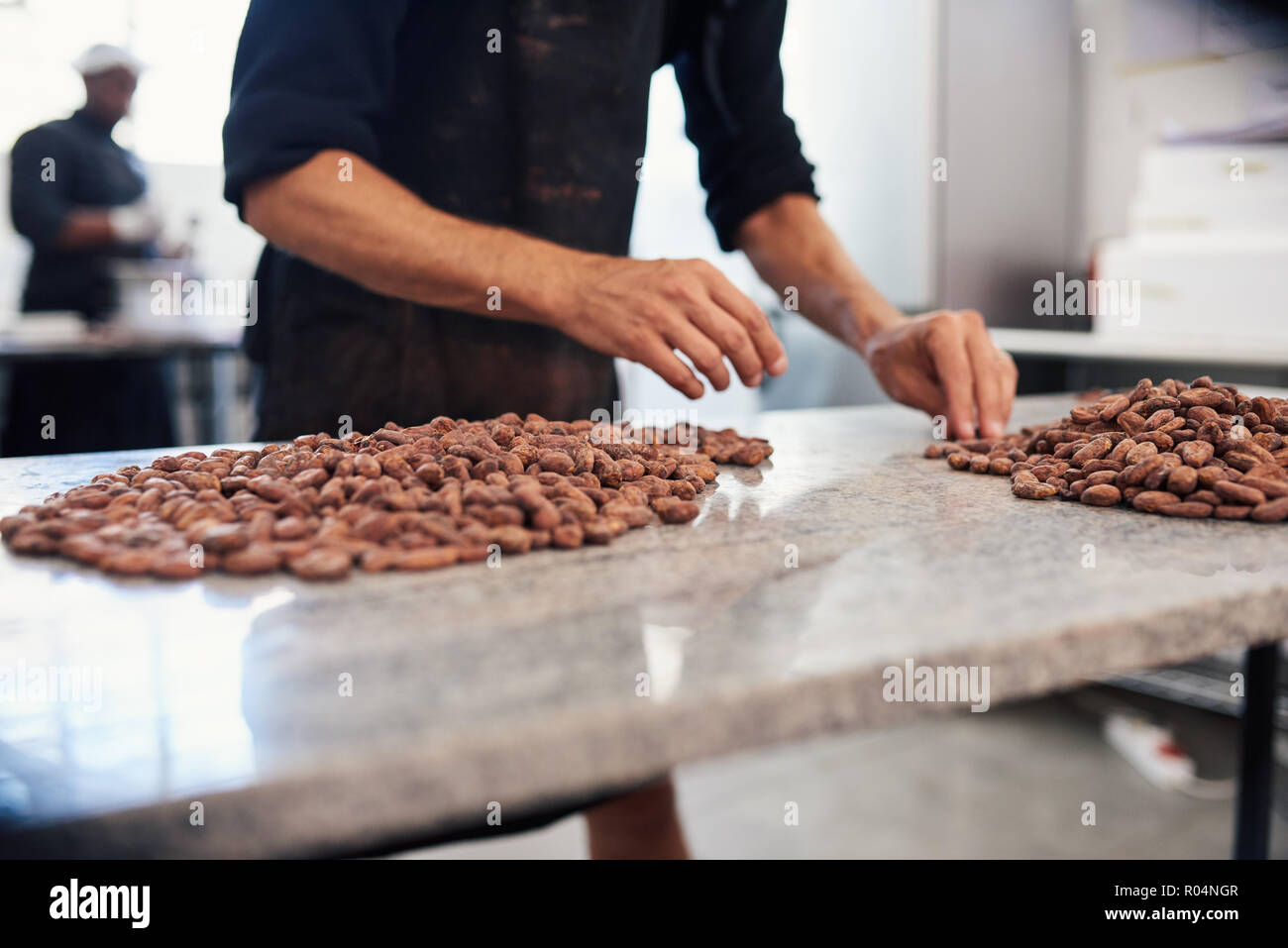 Chocolate making factory worker hand examing cocoa beans Stock Photo ...