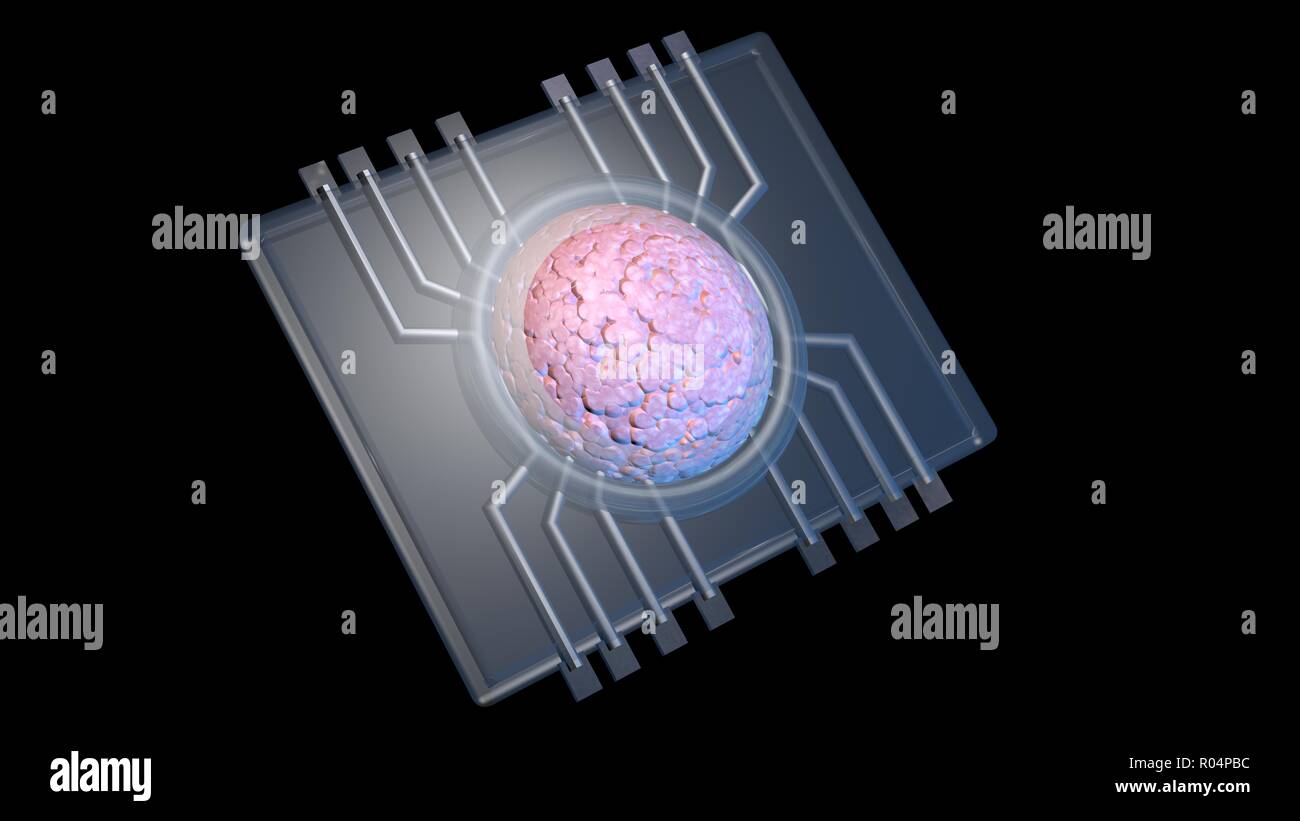 Organs on chips hi-res stock photography and images - Alamy