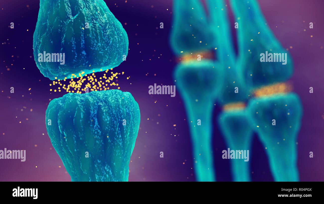 Synapse Stock Photos & Synapse Stock Images - Alamy