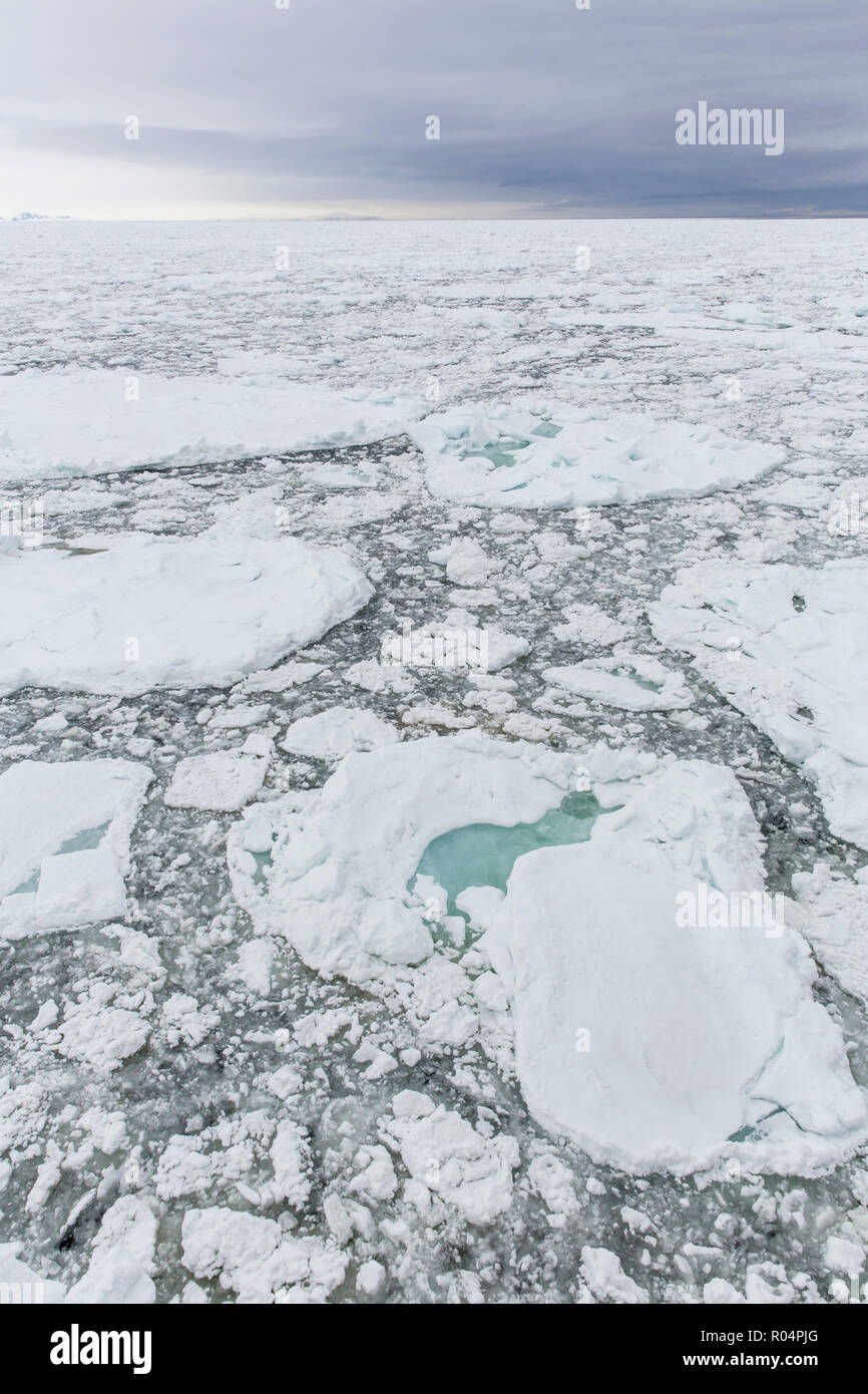 First year sea ice at Cape Fanshawe, Spitsbergen, Svalbard, Arctic ...