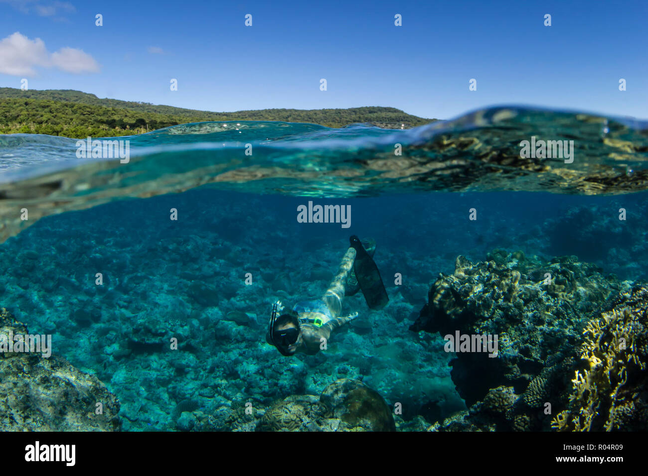Snorkeling the pristine reefs on the remote Island of Alofi in The ...