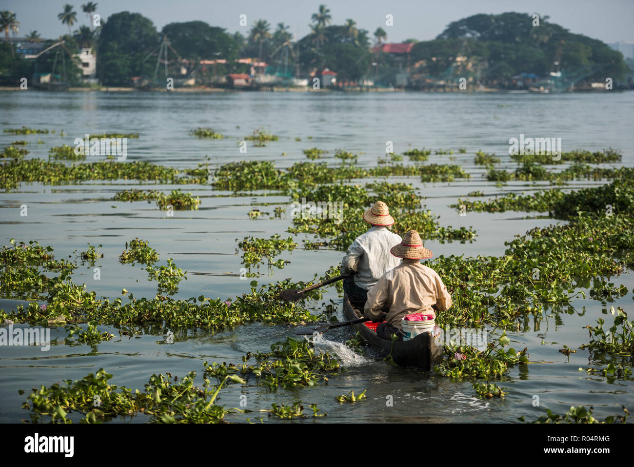 River cochin kerala india hi-res stock photography and images - Alamy