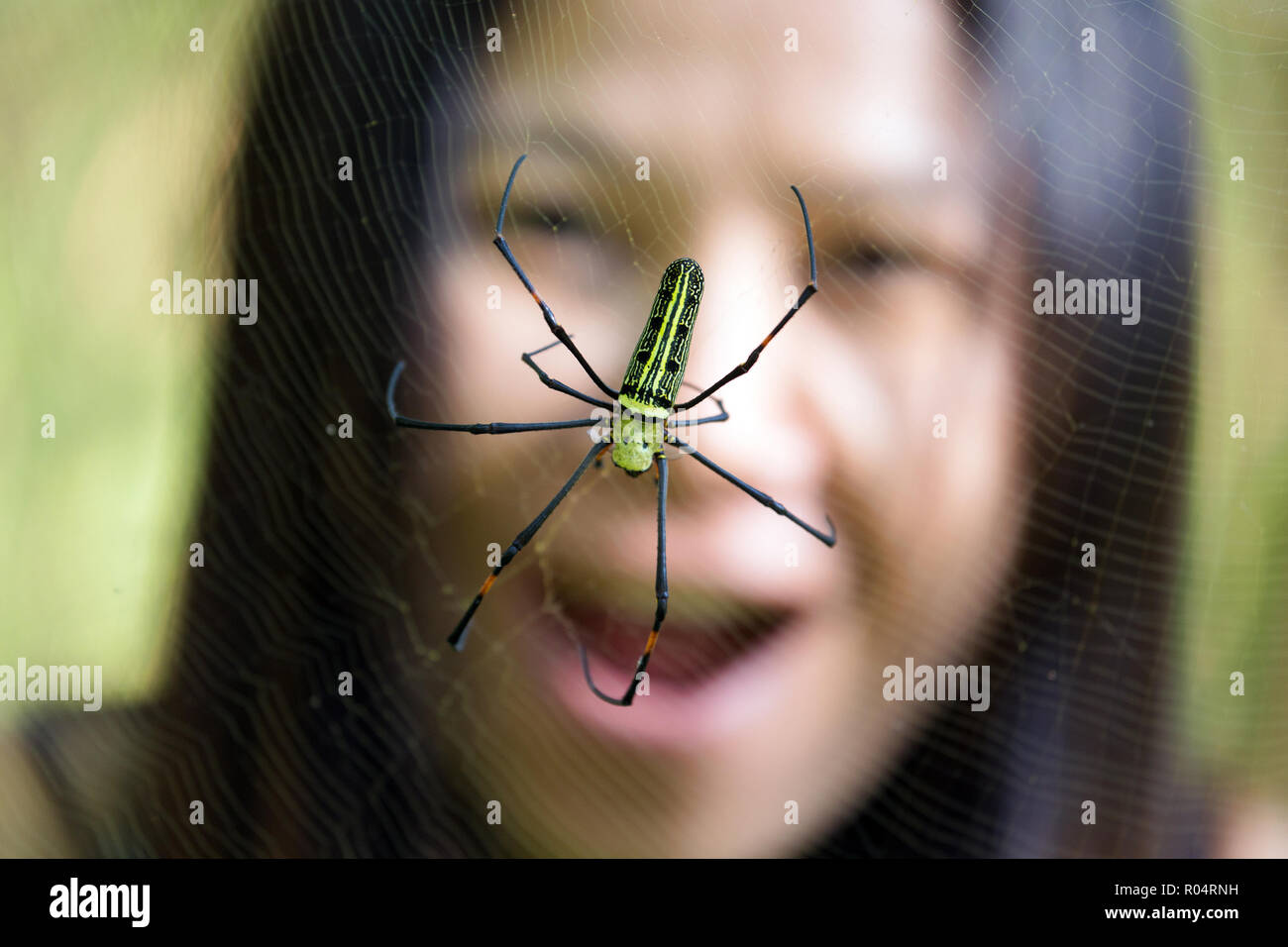 Girl Scared Spider High Resolution Stock Photography and Images - Alamy