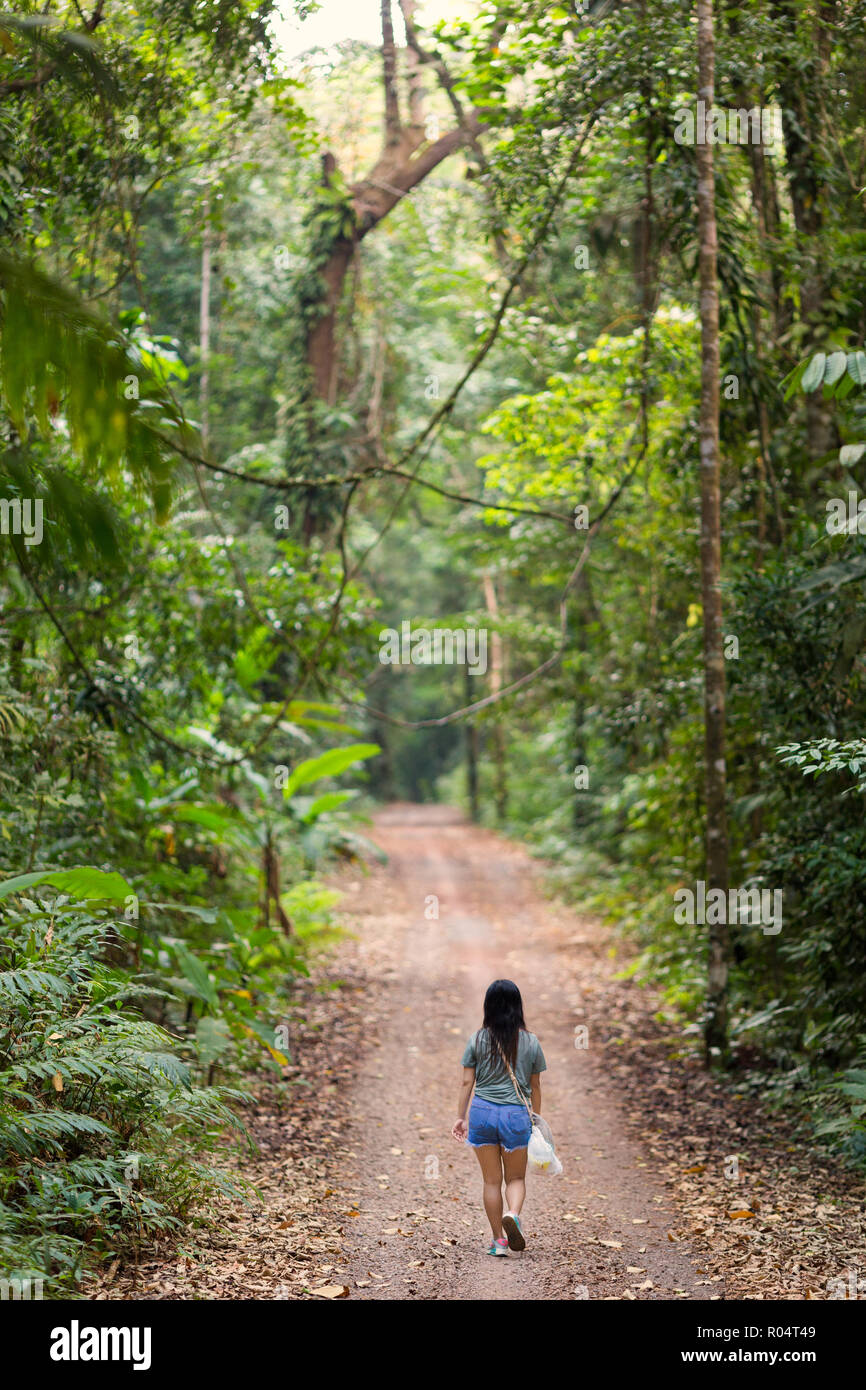 Jungle path hi-res stock photography and images - Alamy