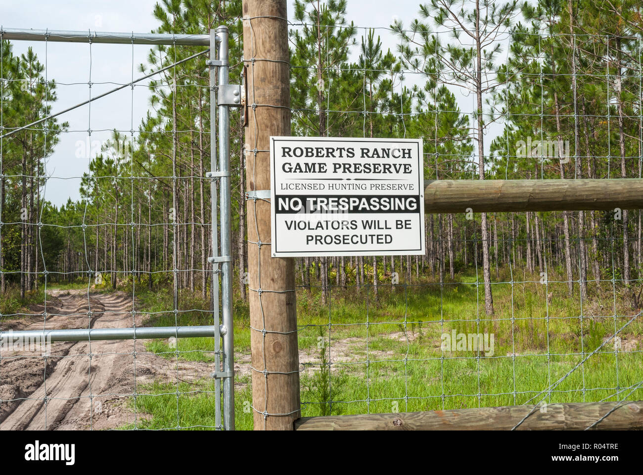 Roberts Ranch Game Preserve in Palatka, Florida Stock Photo - Alamy