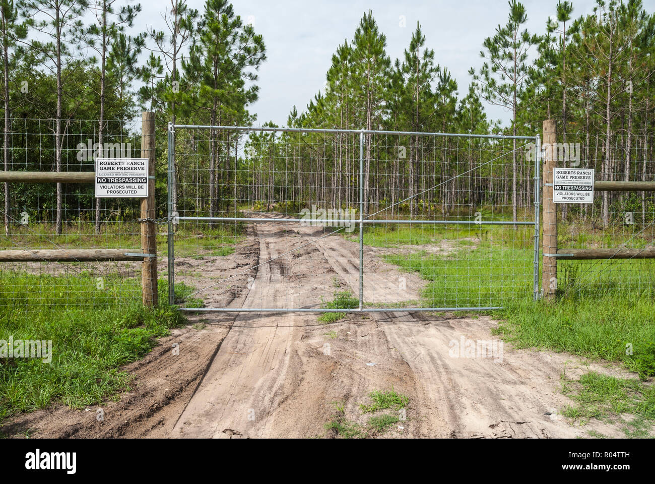 Roberts Ranch Game Preserve in Palatka, Florida Stock Photo - Alamy