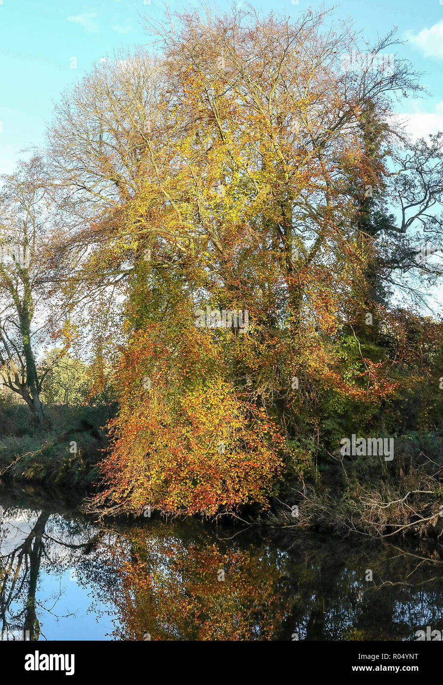 Lagan towpath hi-res stock photography and images - Alamy