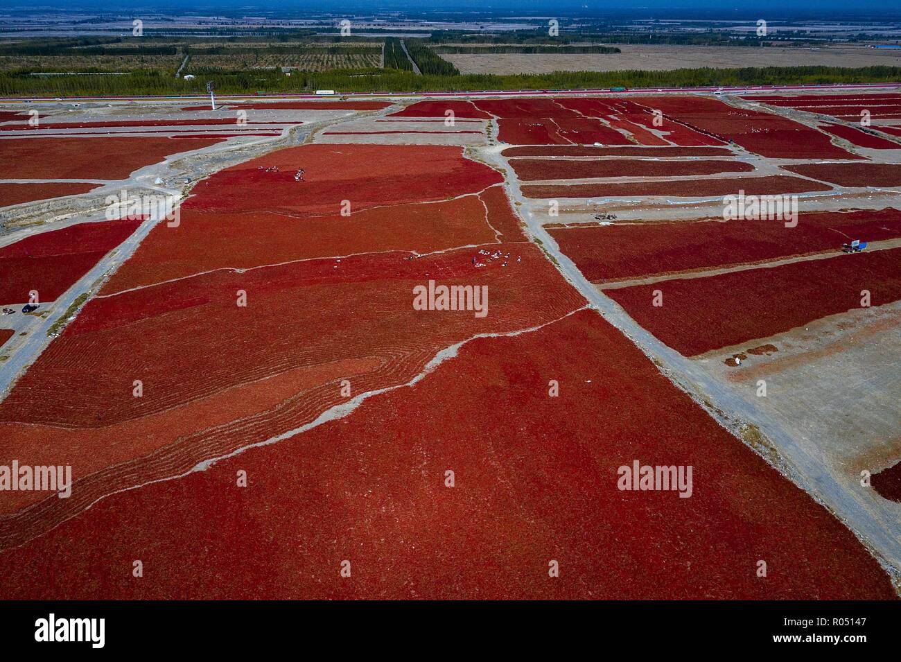 Xinjiang, Xinjiang, China. 1st Nov, 2018. Aletai, CHINA-Breathtaking ...