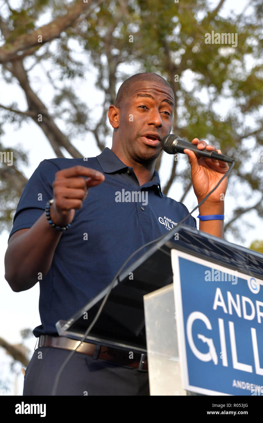Miami Gardens, Florida, USA. 01st Nov, 2018. Florida Democratic ...