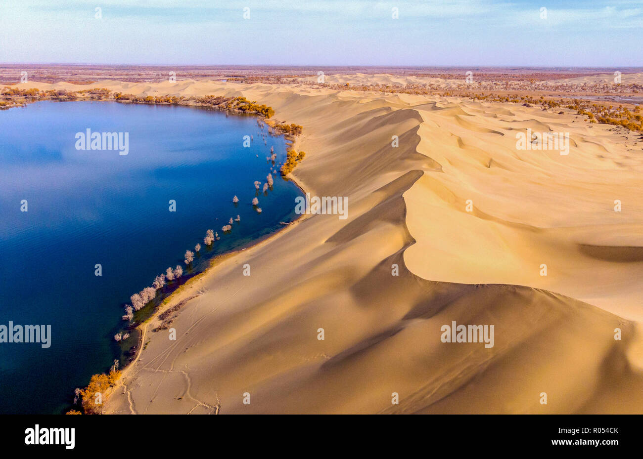 Lop desert hi-res stock photography and images - Alamy