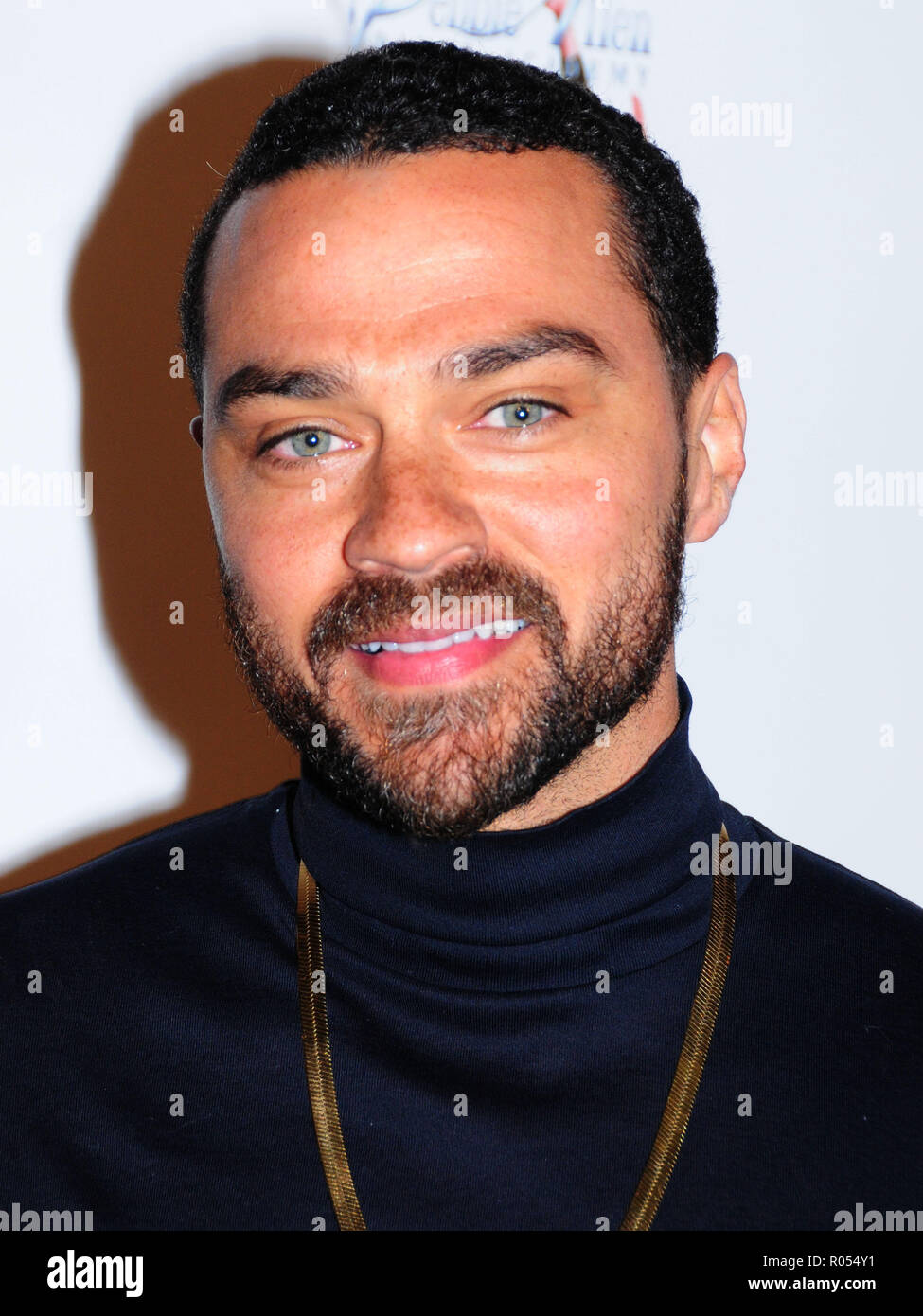 Beverly Hills, California, USA. 1st November, 2018. Actor Jesse ...