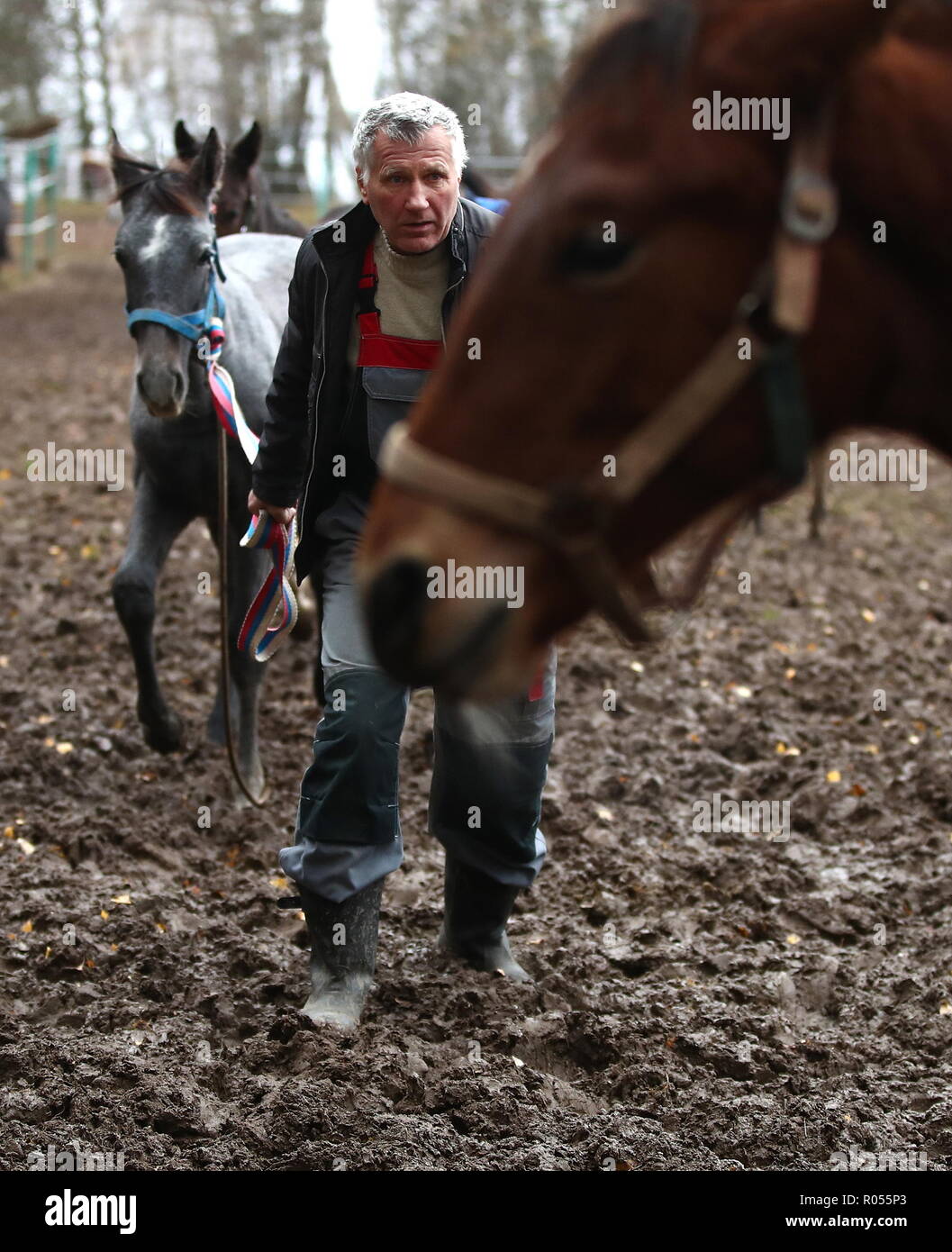 Stableman High Resolution Stock Photography and Images - Alamy