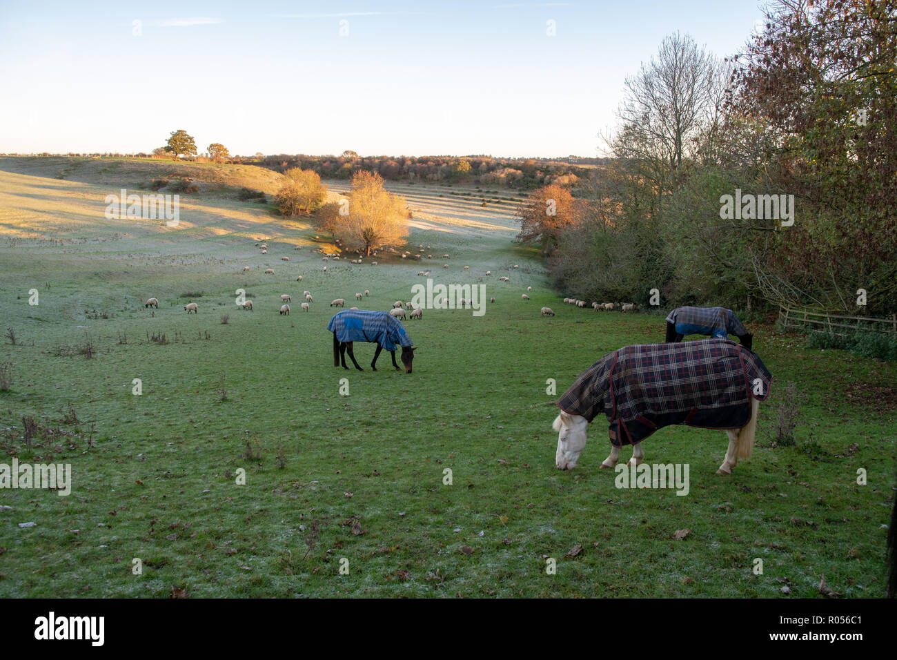Shenington, Oxfordshire, UK. A frosty start to the day with fields and ...