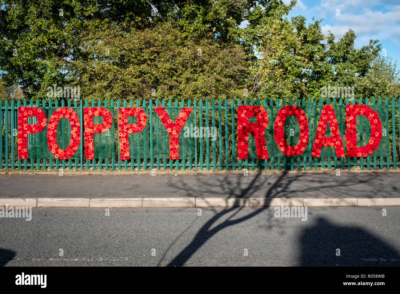 Poppy Road 1st to 11th November, 2018. A remembrance tribute from one ...