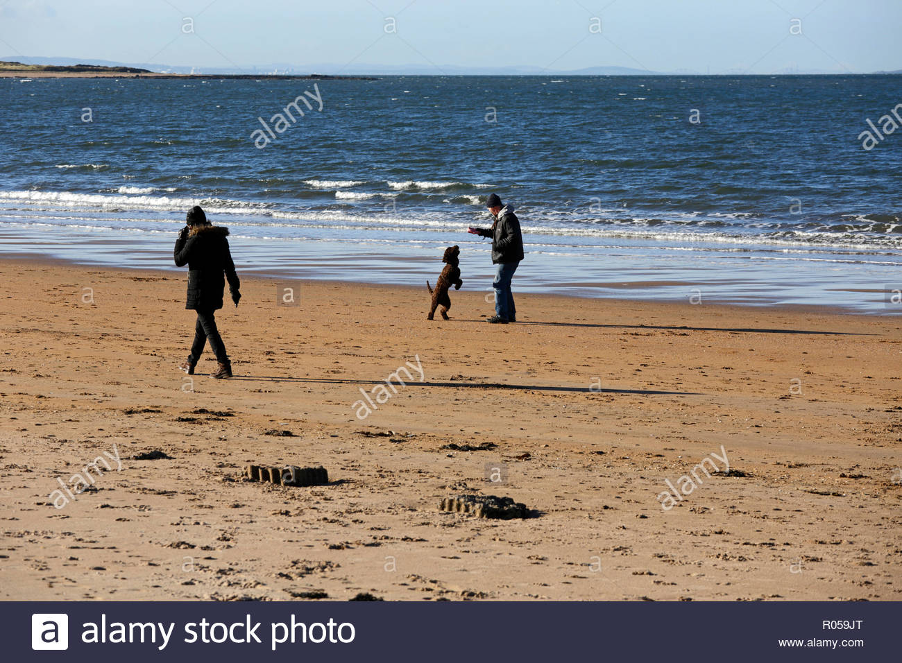 Gullane bents hi-res stock photography and images - Alamy
