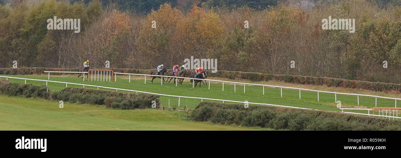 Down royal autumn racing hi-res stock photography and images - Alamy