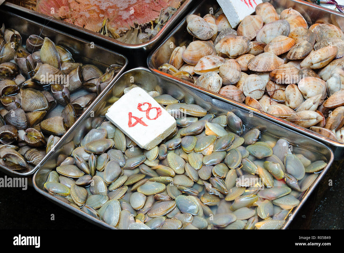 Selling fresh seafood, trays with various shells - Manila, Surf Clams ...