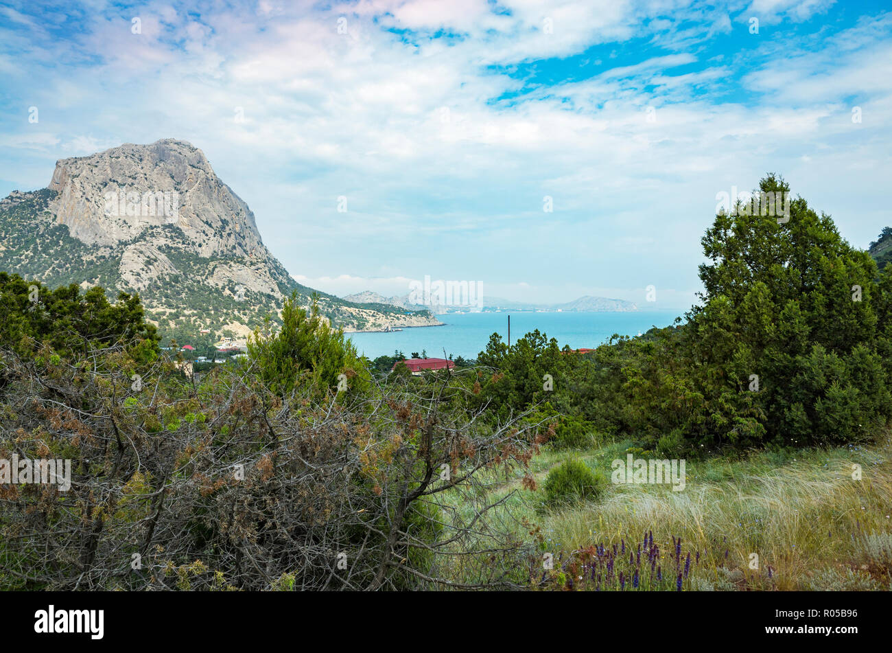 Galitsin hi-res stock photography and images - Alamy