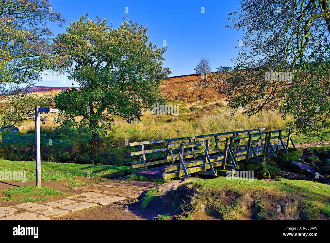 Ancient woodland near river hi-res stock photography and images - Alamy