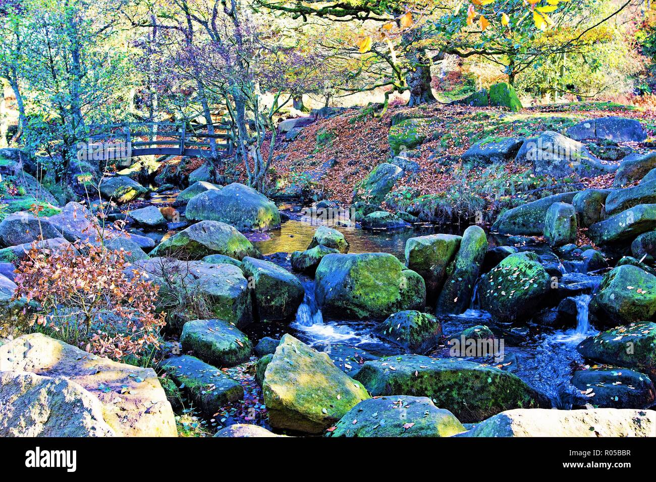 Padley gorge greenery hi-res stock photography and images - Alamy