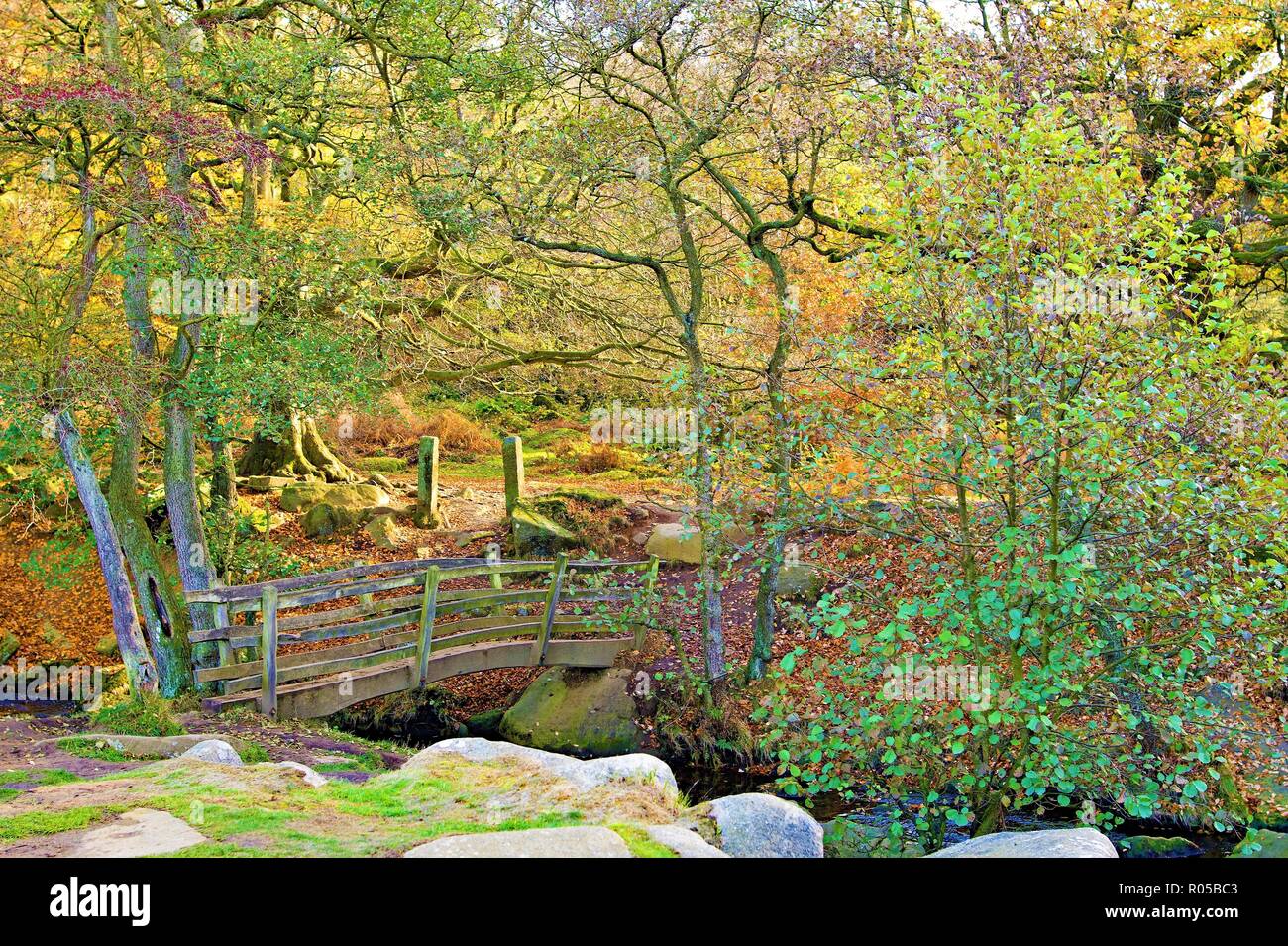 Padley gorge greenery hi-res stock photography and images - Alamy