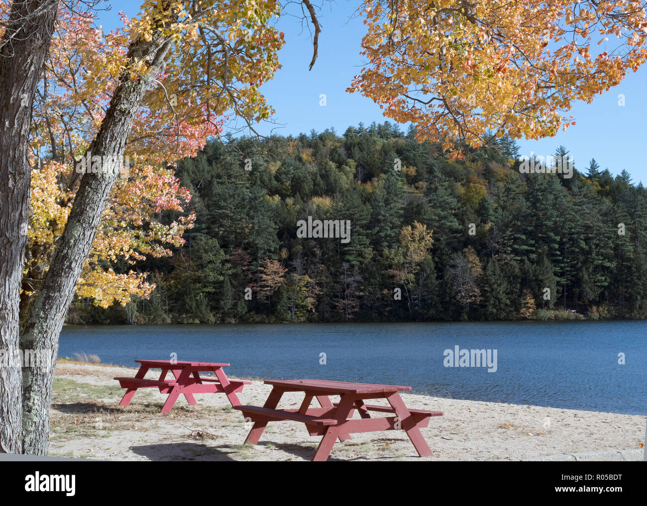 Quiet peacefull hi-res stock photography and images - Alamy