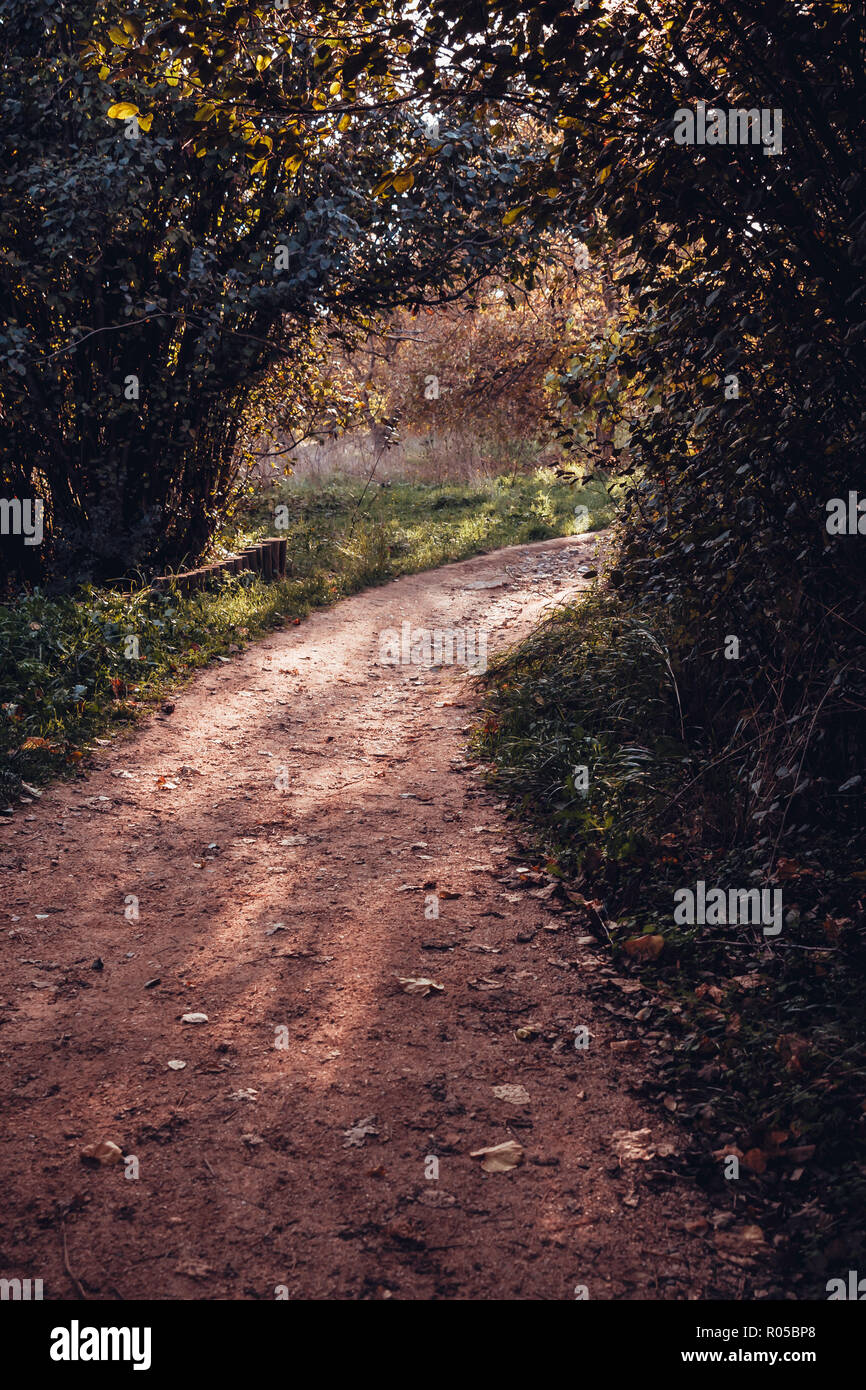 Simple Alley Way High Resolution Stock Photography and Images - Alamy